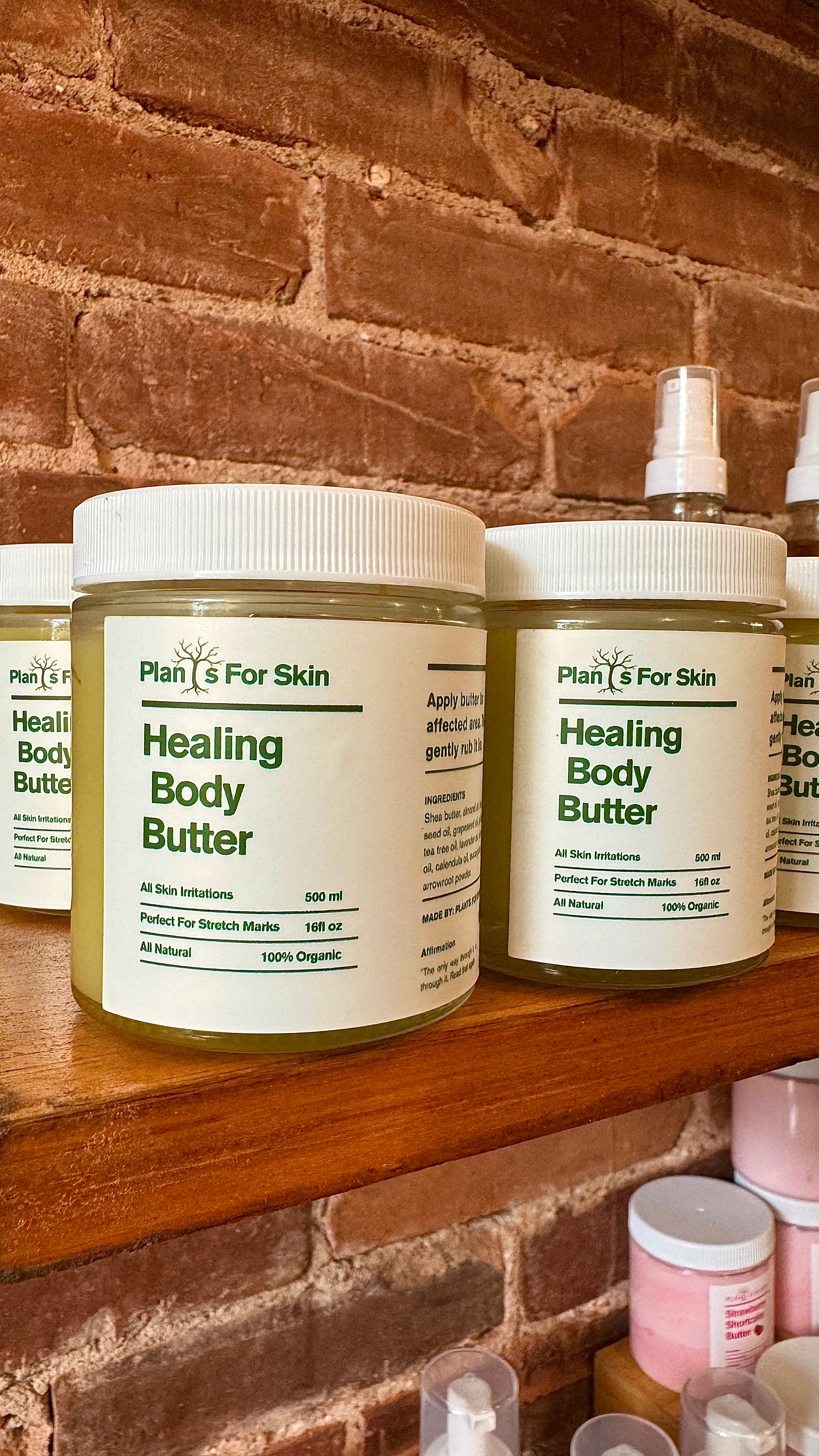 Healing Body Salve – Plants For Skin