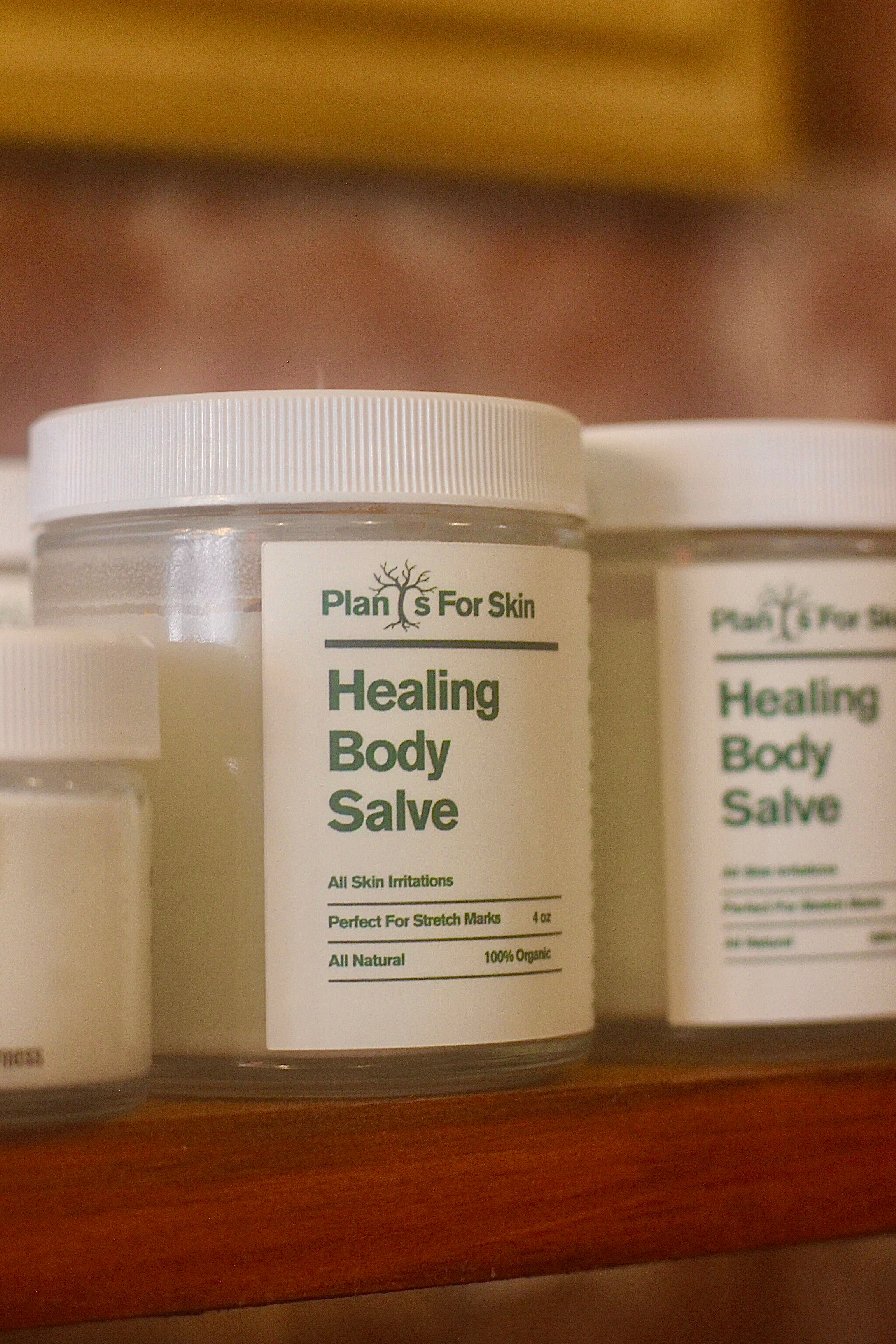 Healing Body Salve – Plants For Skin